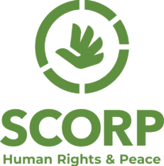 Standing Committees | IFMSA-Egypt