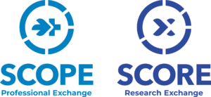 Standing Committees | IFMSA-Egypt