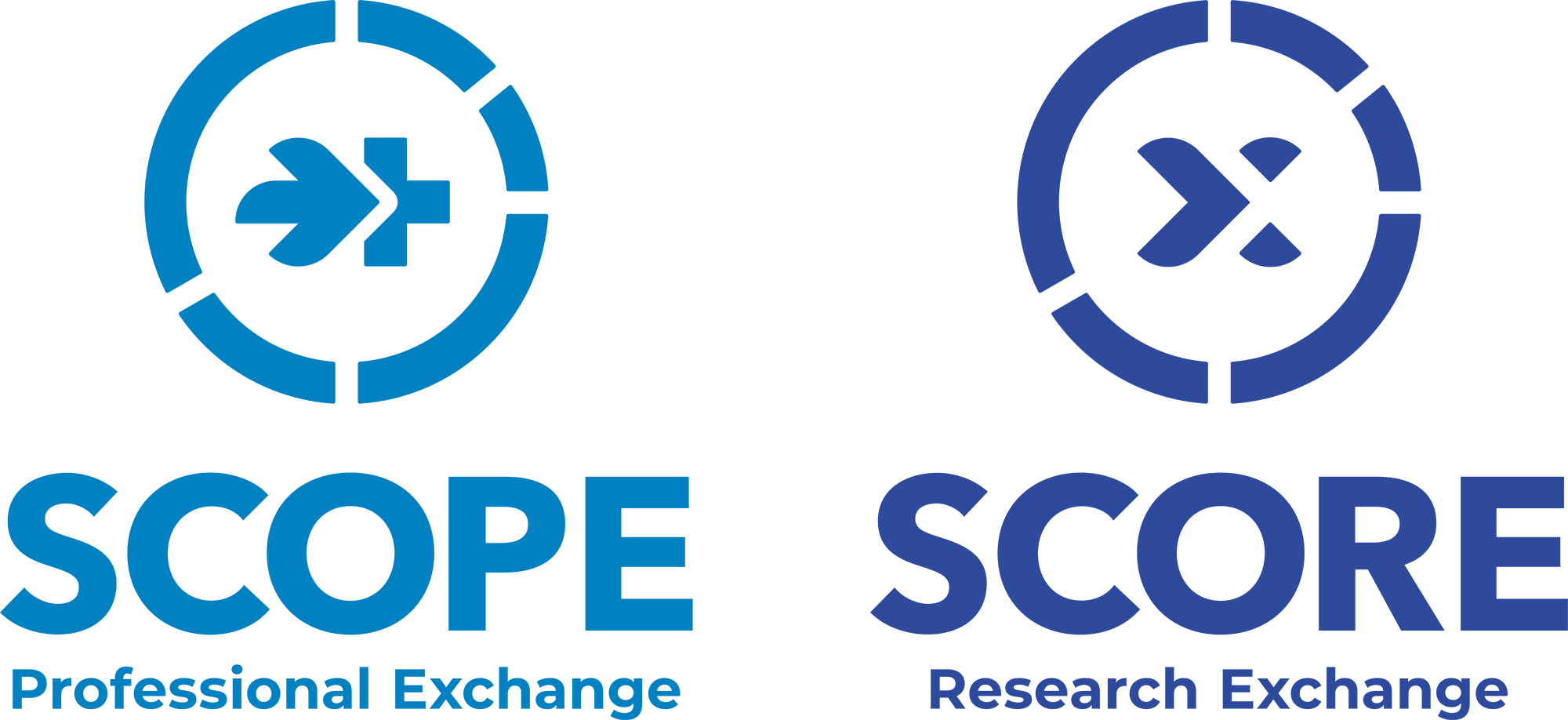 Standing Committees | IFMSA-Egypt